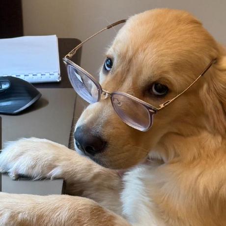 Jaime Choi Jaime Choi Github