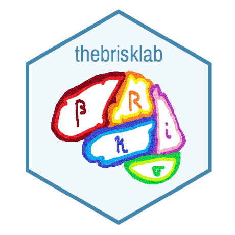 Brain Research In Imaging Statistics Kit Github