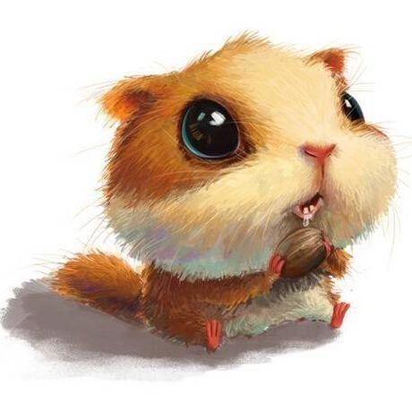 Zhousning 周宁 Github