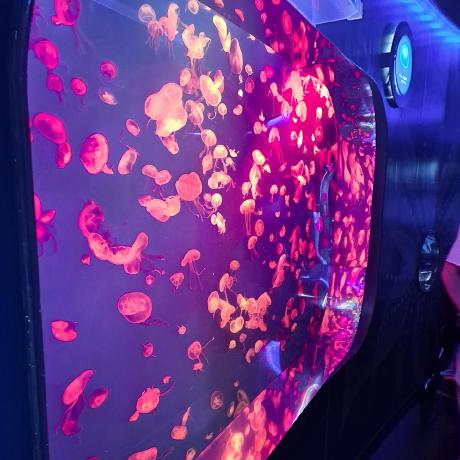 Song H J Jun Song Github