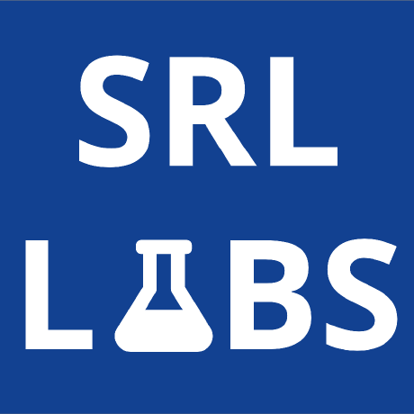 Srl Labs Github