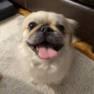 Zozo Coding Zozo Coding Github