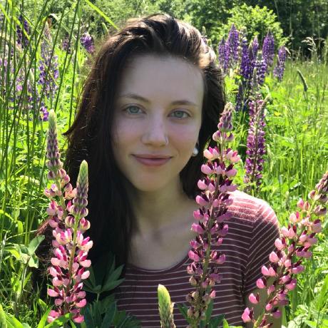 Git Daisy Daisy Github