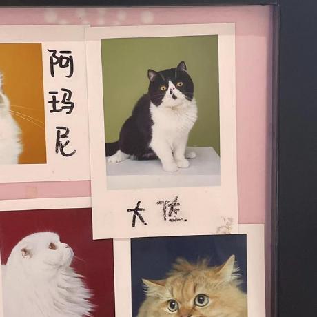 Github Excellentsun Idshwk4 - Perfect 4K Vintage Images | Free Download