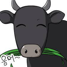 Study Cow Github