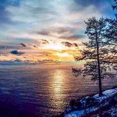 Bin Creator Bin Github