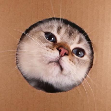 Yundong2001 Xyd Github - Premium Abstract Photo Gallery - High Resolution