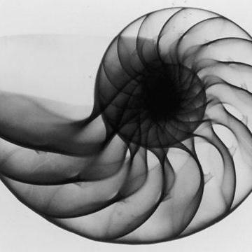 Dataset Research Github