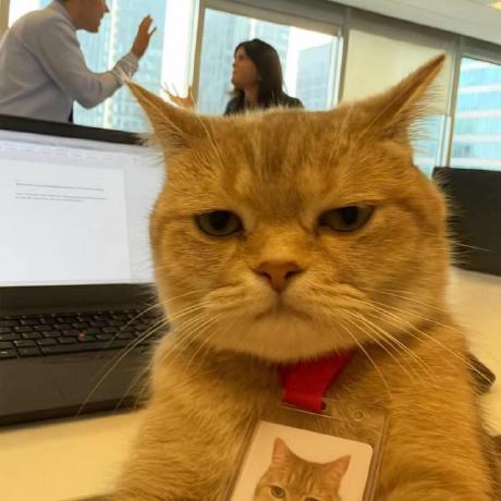 Ducanhnt22 Nguyб N Thб ќ дђб C Anh в Github