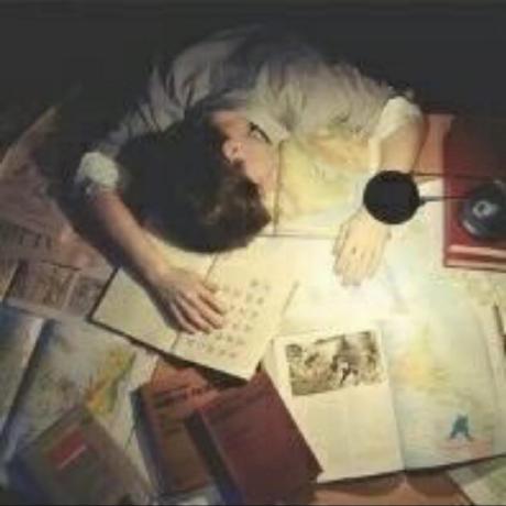 Serendipity 55428 Echo Github