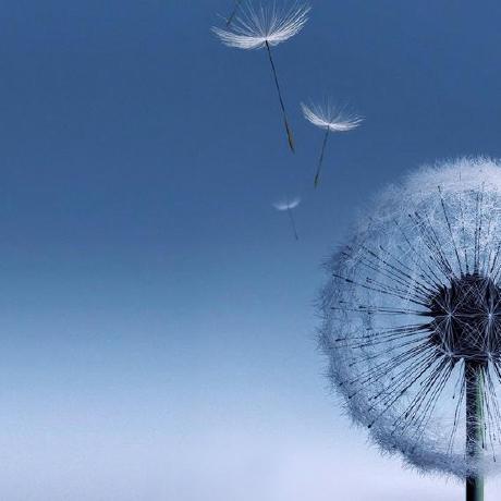 We Can Do Better Github - Classic Landscape Image - Desktop