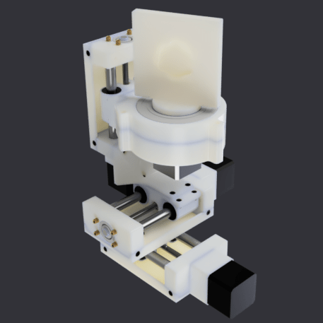 Palms Project Github