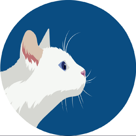 Rapha30 Rapha Github