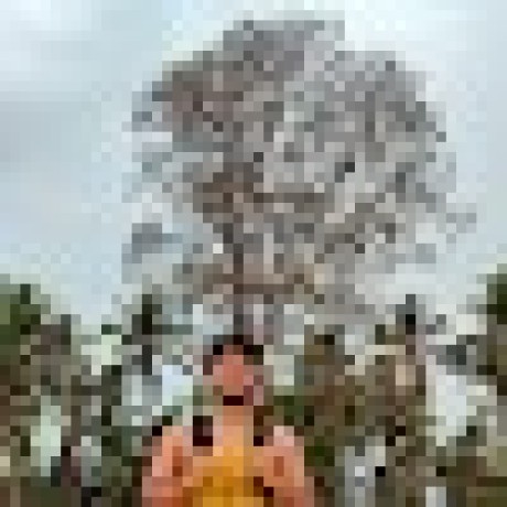 Akash Sanghvi Github