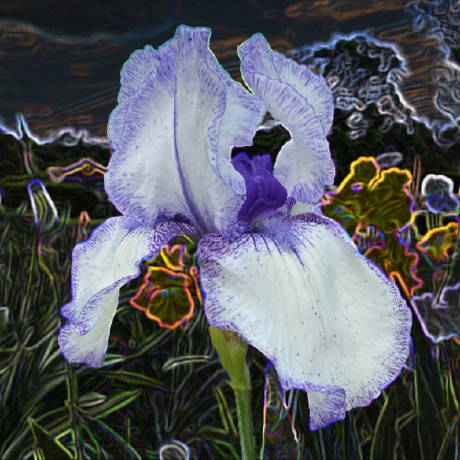 Mgoodman2 Nycdohmh Madelyn Goodman Github - Nature Wallpapers - Modern Desktop Collection