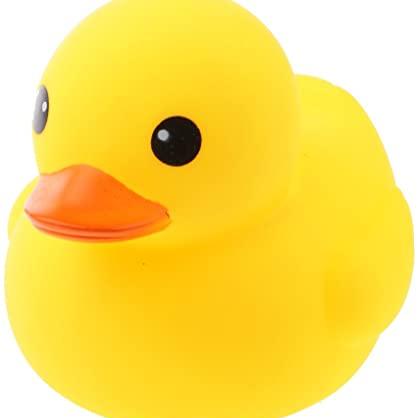 Project Duck Github
