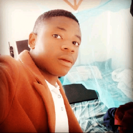 Fabian 97 Fabiani Nyang Ali Github