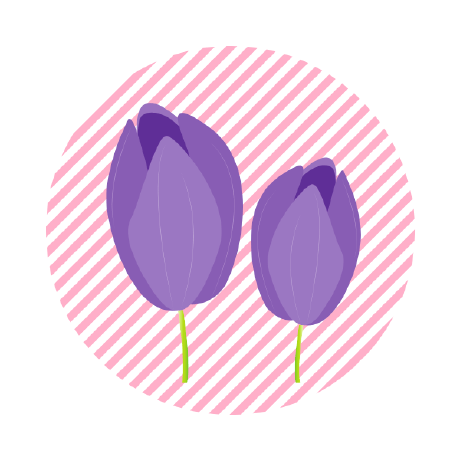 Purplepalette Github