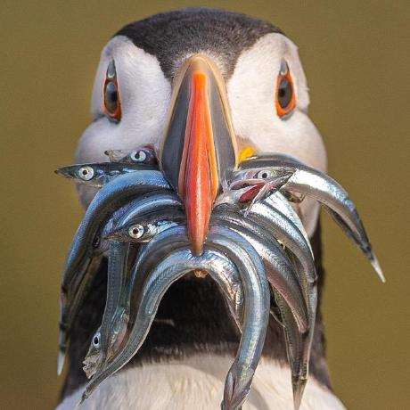 Wang Bin Wangbin Github