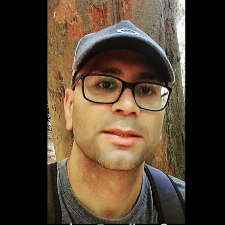 Flavio Foa Dev Flavio Andrade Github