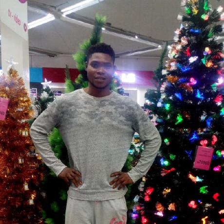 Webagent Dev Webagent Dev Github