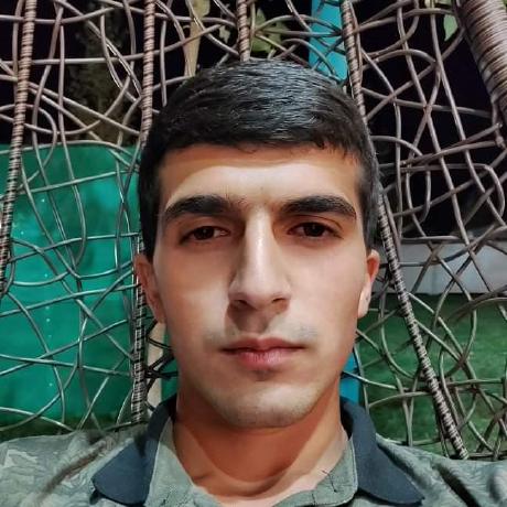 Gevorg Mkrtchyan Github