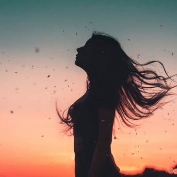 Nitika Bhatt Nitika Github