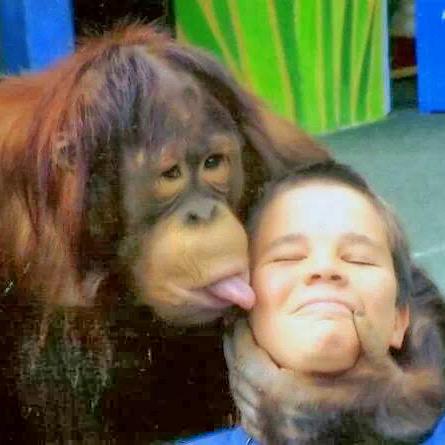 Jonathanrgreene Jonathan Greene Github - Premium City Pattern Gallery - HD