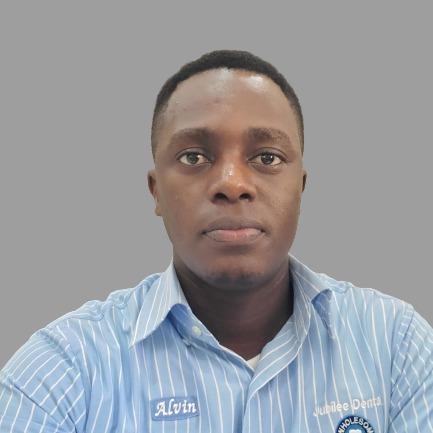 Alvin Bytes Alvin Manzi Github