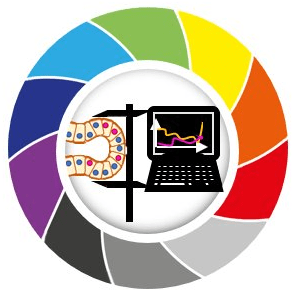 Bio Image Analysis Group At The Dfg Cluster Of Excellence Physics Of