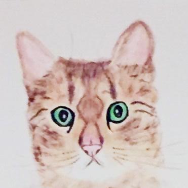 Cs128dev Illinois Github