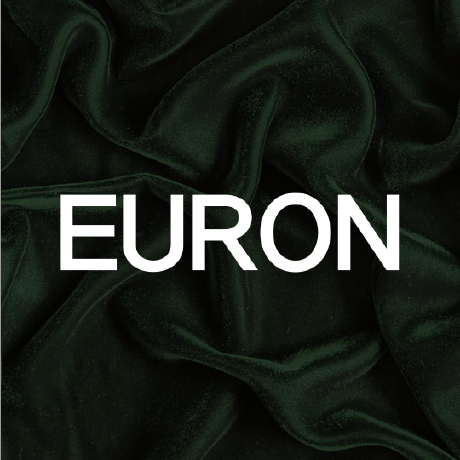 Ewha Euron Github