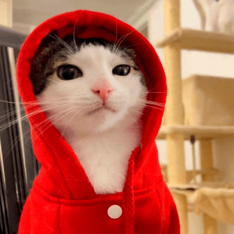 Sharkiewashere Sharkie Github