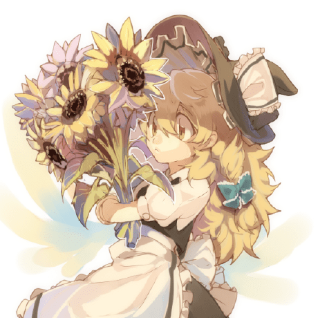 Carlskycoding Sky Github