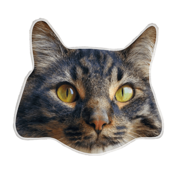 Dang12394 Dang Github - Light Photo Collection - Full HD Quality