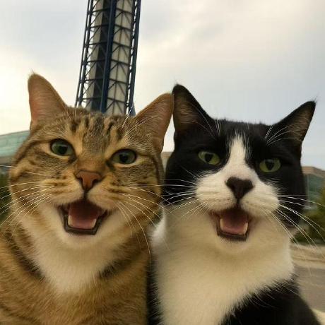 Jinningwang Jinning Wang Github