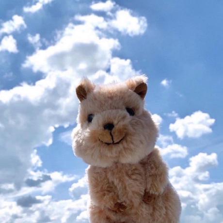 Mongle Irang Github - Mobile Light Wallpapers for Desktop