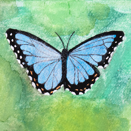 Dolphincoder Ella Github