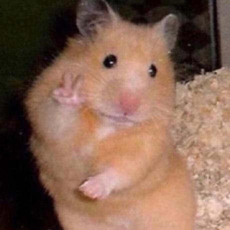 Imkdw 김동우 Dongwoo Kim Github