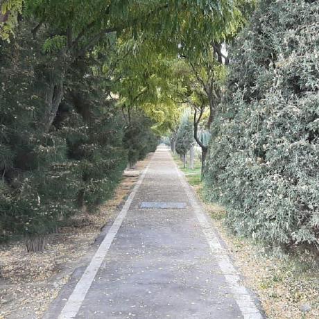 Fum Github Topics Github - Vintage Design Collection - Desktop Quality