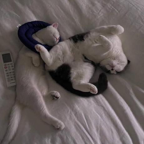 Hye1ns Hyewon Github