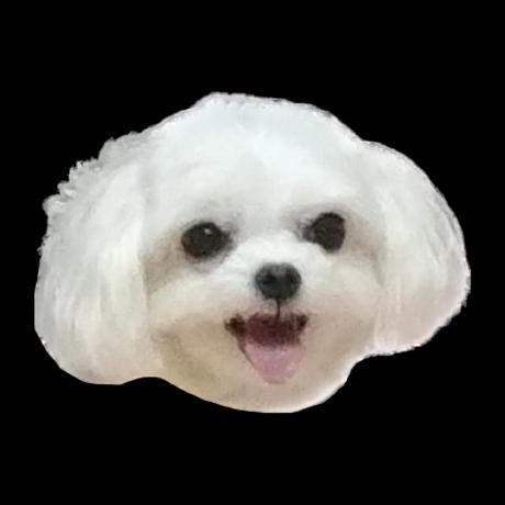 Ekthaliz Ssom Github