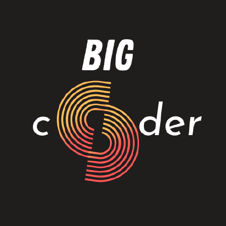 Big Coder Github