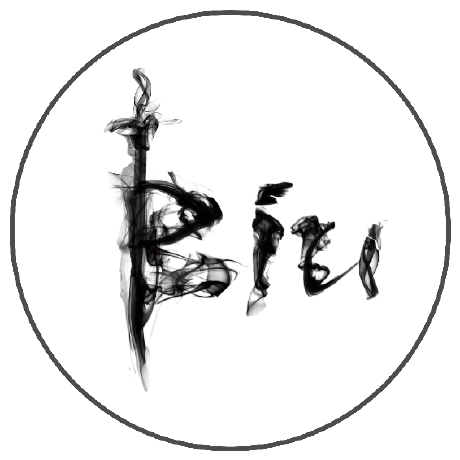 Biu Team Github