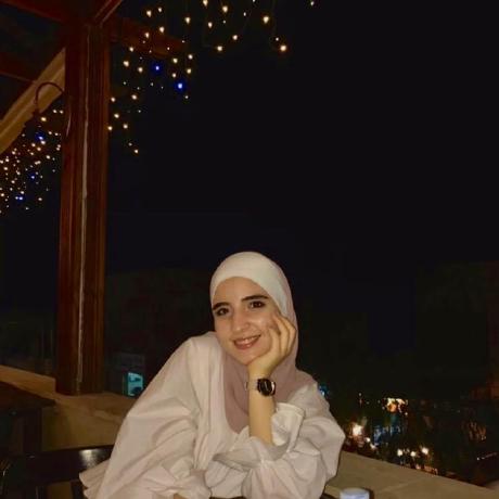 Maryam N98 Maryam Najjar Github