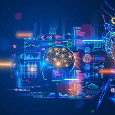 Simahamedifar Sima Github