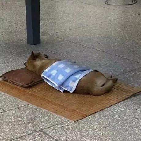 Rremake Remake Github