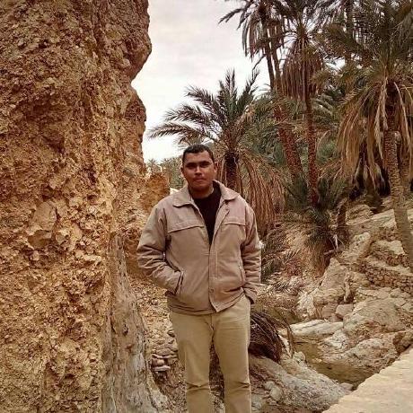 Saadaoui Mahmoud Mahmoud Github