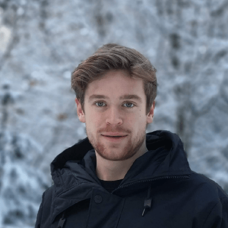 Nikpau Niklas Paulig Github