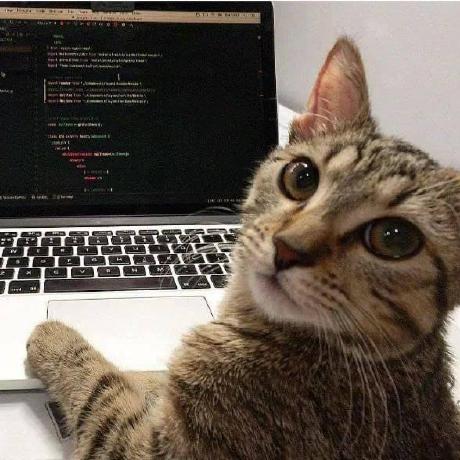 Nintenfox Nikita Github